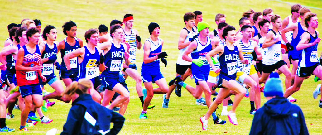 XC Teams compete in state meet – Jeff Davis Ledger