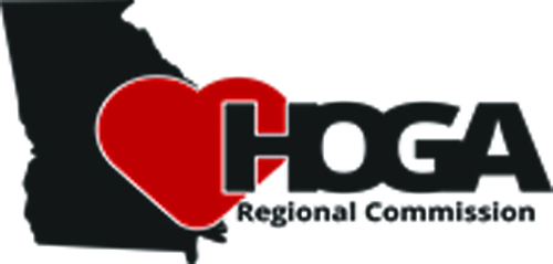 Downtown Hazlehurst Master Plan completed – Jeff Davis Ledger